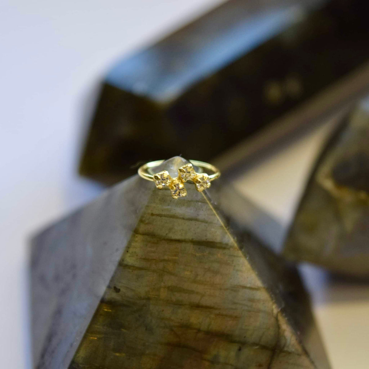 Gold Vine Nose Ring – Hipsta NZ
